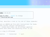 Codex Cli