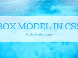 Box Model In Css Web Development Developers Dome