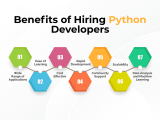 Cost To Hire Python Developers