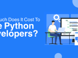 Cost To Hire Python Developers