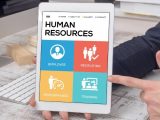 Human Resource Management Software Developyn