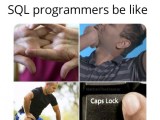 Sql Programmers Be Like