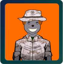 MEET THE DVL.DGS REGIMENT