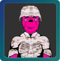 MEET THE DVL.DGS REGIMENT