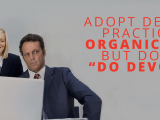 Adopt Devops Practices Organically But Don T Do Devops Or Is Devops