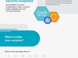 2020 Container Security Snapshot Devops