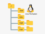 Exploring The Linux Filesystem Understanding The Heart Of Linux