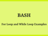 Bash For Loop And While Loop Examples