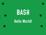Bash Script Hello World Example