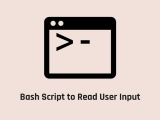 Bash Script How To Read User Input