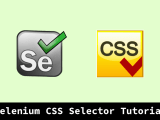 Selenium Css Selectors Examples