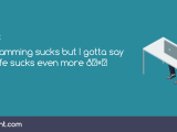 Programming Sucks But I Gotta Say Real Life Sucks Even More рџ Devrant
