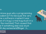 Bugs Everywhere Do You Know Guys Why A Programming Bug Is Called So