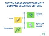 Custom Database Development Services Our Experience Devsdata