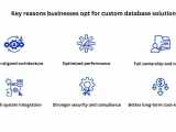 Custom Database Development Services Our Experience Devsdata