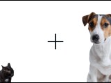 Introduction To Eye Tracking Devstart