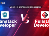 Mean Stack Vs Full Stack Developer How To Choose Right Stack
