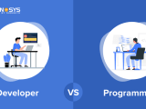 Developer Vs Programmer What Is Basic Difference