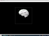 Brainmap Devyansh Gupta