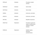 Histone Modifications And Chromatin States Dewan Shrestha