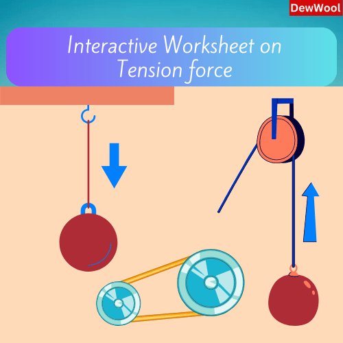 Tension Force-Multiple Choice Questions Quiz | DewWool