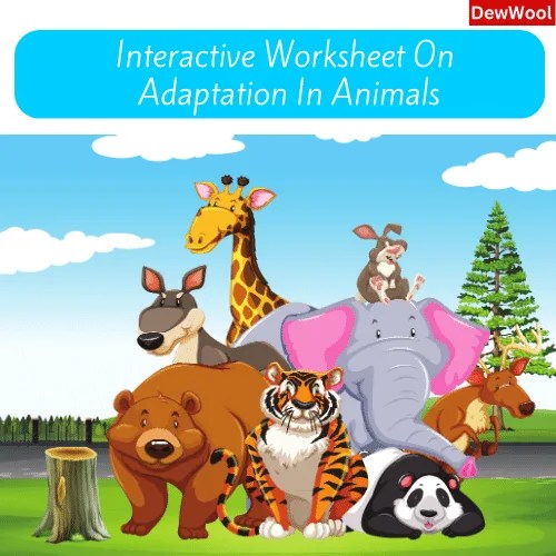 Adaptation In Animals -Multiple Choice Questions Quiz | DewWool