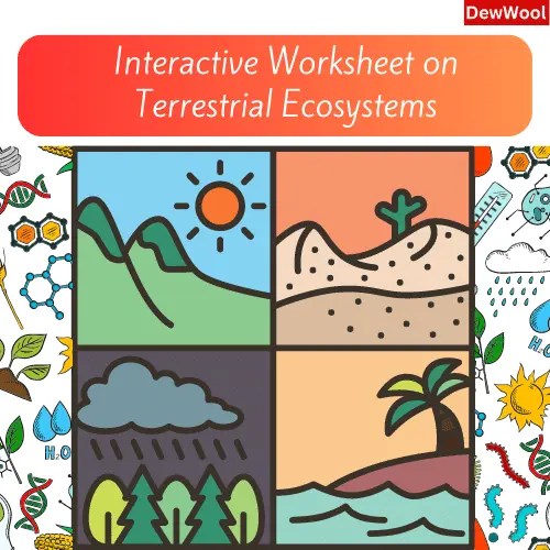 Terrestrial Ecosystems -Multiple Choice Questions Quiz | DewWool