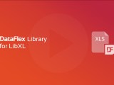 Dataflex Learning Center