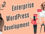 Enterprise Wordpress Development Full Guide