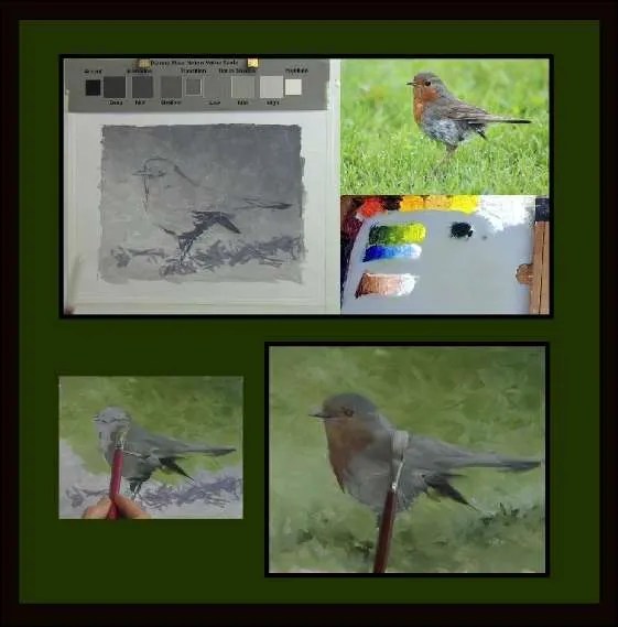 Patterns of Gradation