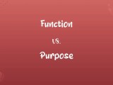 Function Vs Purpose Know The Difference