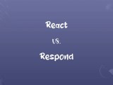 React Vs Respond Know The Difference