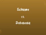 Schema Vs Database Know The Difference