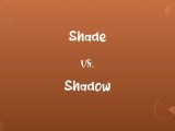 Shade Vs Shadow Know The Difference
