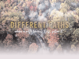 Family Video Different Paths