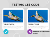 Everything You Need To Know About Css Regression Testing Diffy Visual
