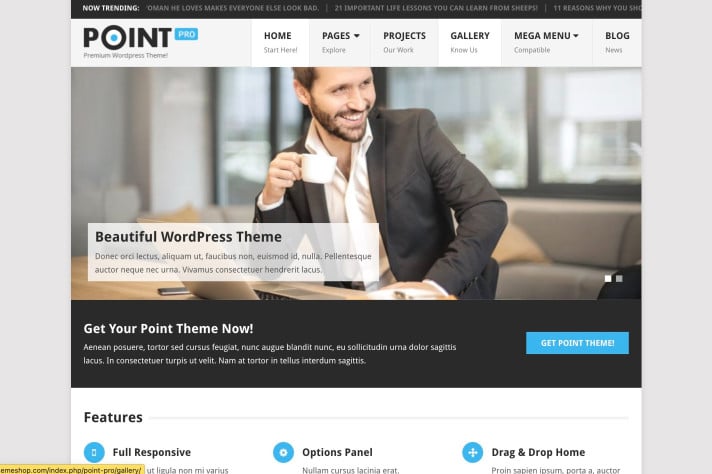 PointPro By MyThemeShop - WordPress Theme Blog & Bán Hàng | Digi-4U