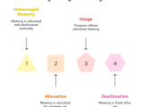 Memory Management In Python Garbage Collection Diginode
