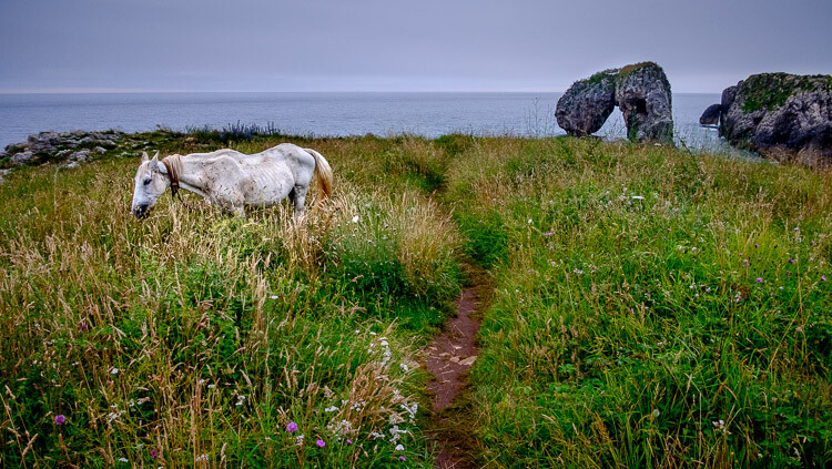 Tutorial How To Use The Lightroom Map Module