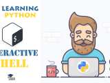 Digital Academy Python Interactive Shell Integrated Development