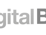 Digital Bricks