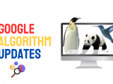 Google Algorithm Updates Changes A Complete History Digital Coim