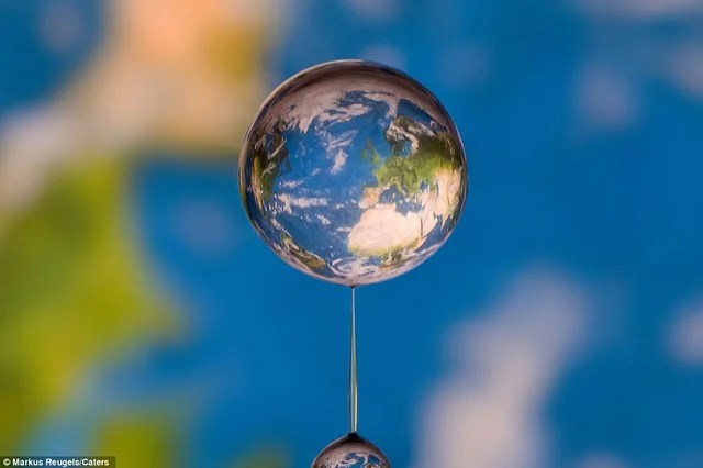 The World in a Drop of Water