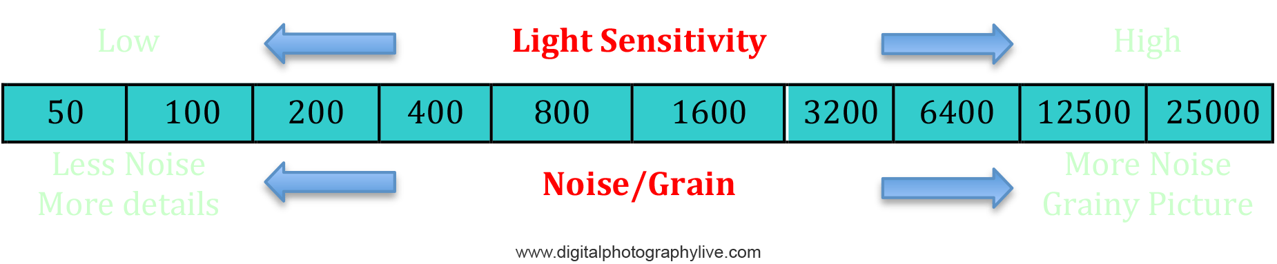 Understanding ISO In Photography | Digital Photography Live