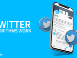 How The Twitter Algorithm Works Digivizer