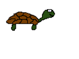 Turtle Pixel Art