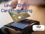 Level I Credit Card Processing Direct Processing Network