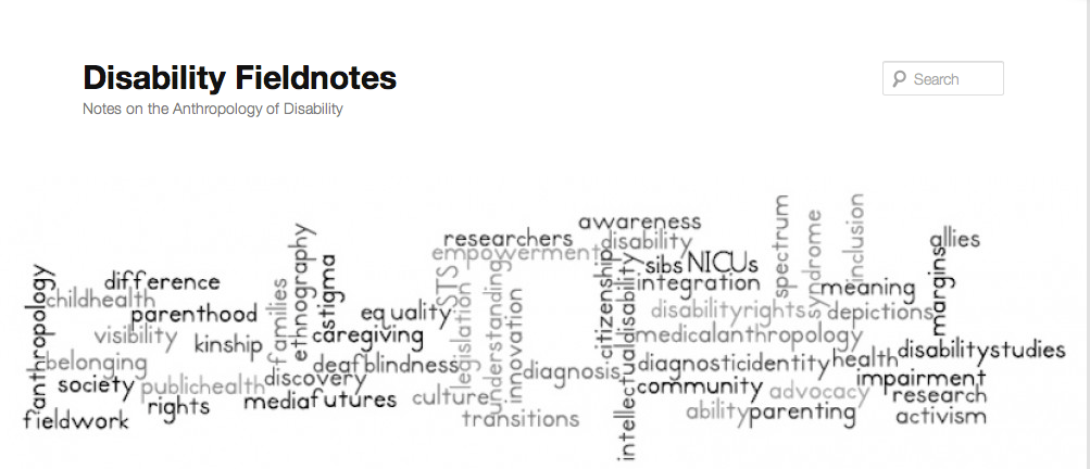 Media Partner #31: Disability Fieldnotes – Disability Visibility Project