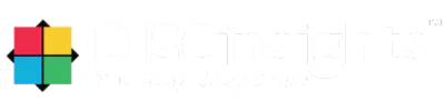 S Type Disc Personality Style Explained