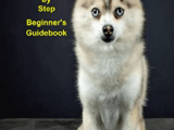 Wolfram Language Tutorial Step By Step Beginner S Guidebook